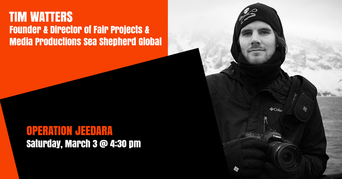 Tim Watters – Transitions Film Festival