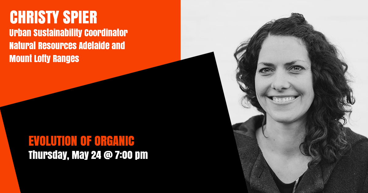 Christy Spier – Transitions Film Festival