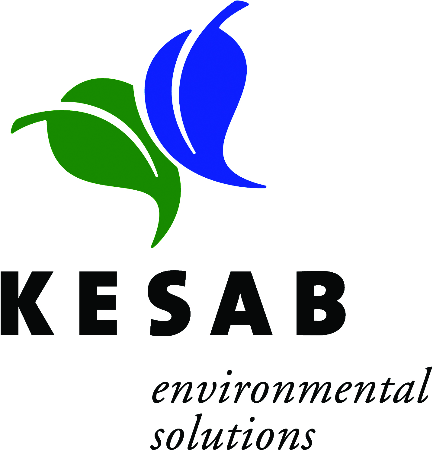 KESAB – Transitions Film Festival