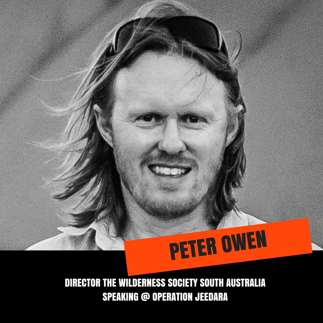 PETER OWEN – Transitions Film Festival