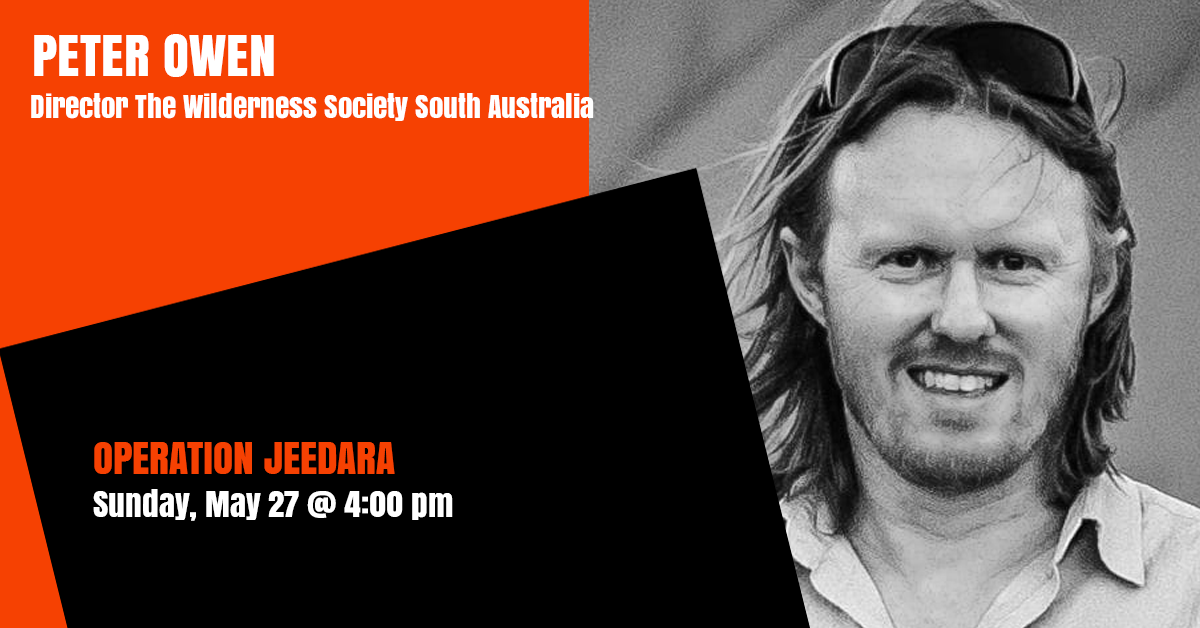 Peter Owen – Transitions Film Festival