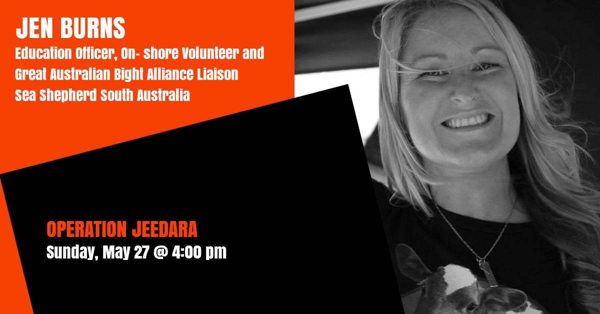 Jen Burns – Transitions Film Festival