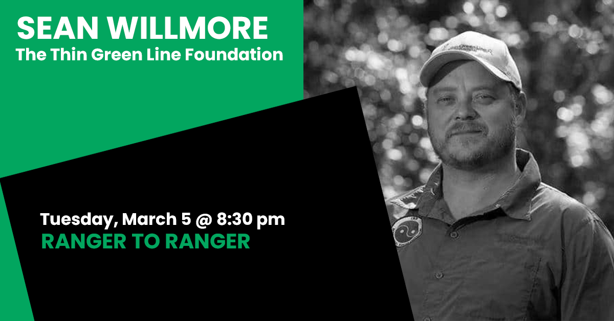 Sean Willmore – Transitions Film Festival