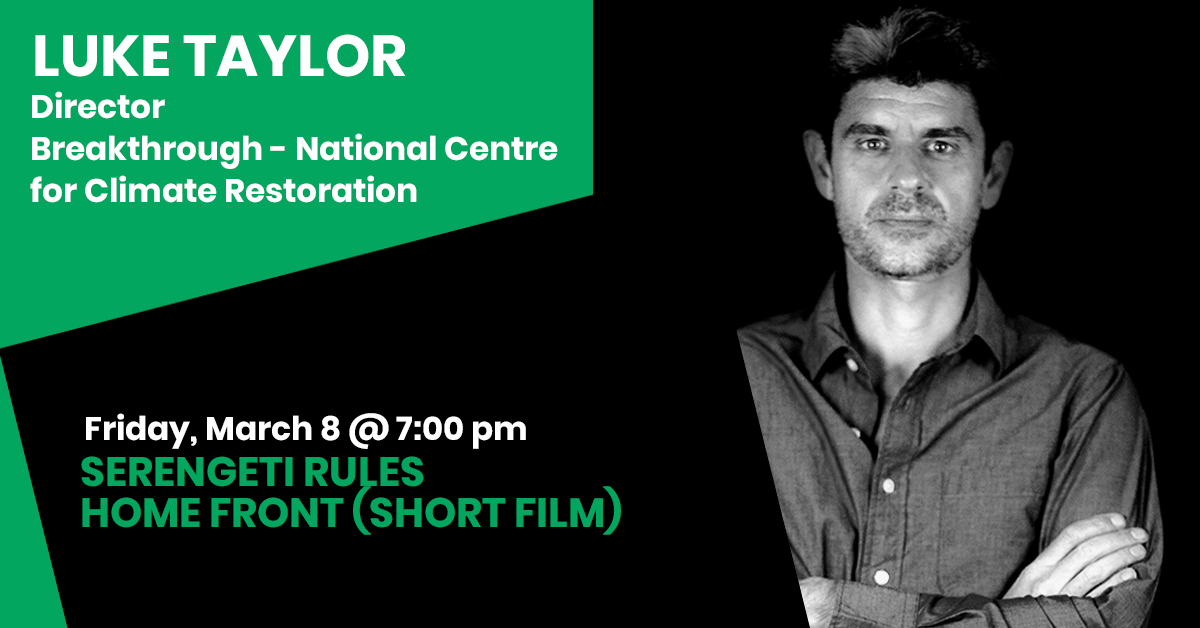 Luke Taylor – Transitions Film Festival