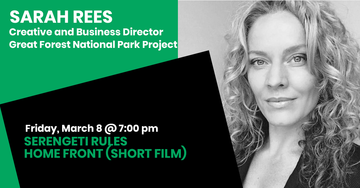 Sarah Rees – Transitions Film Festival