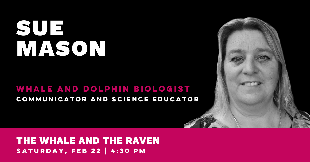 Sue Mason – Transitions Film Festival